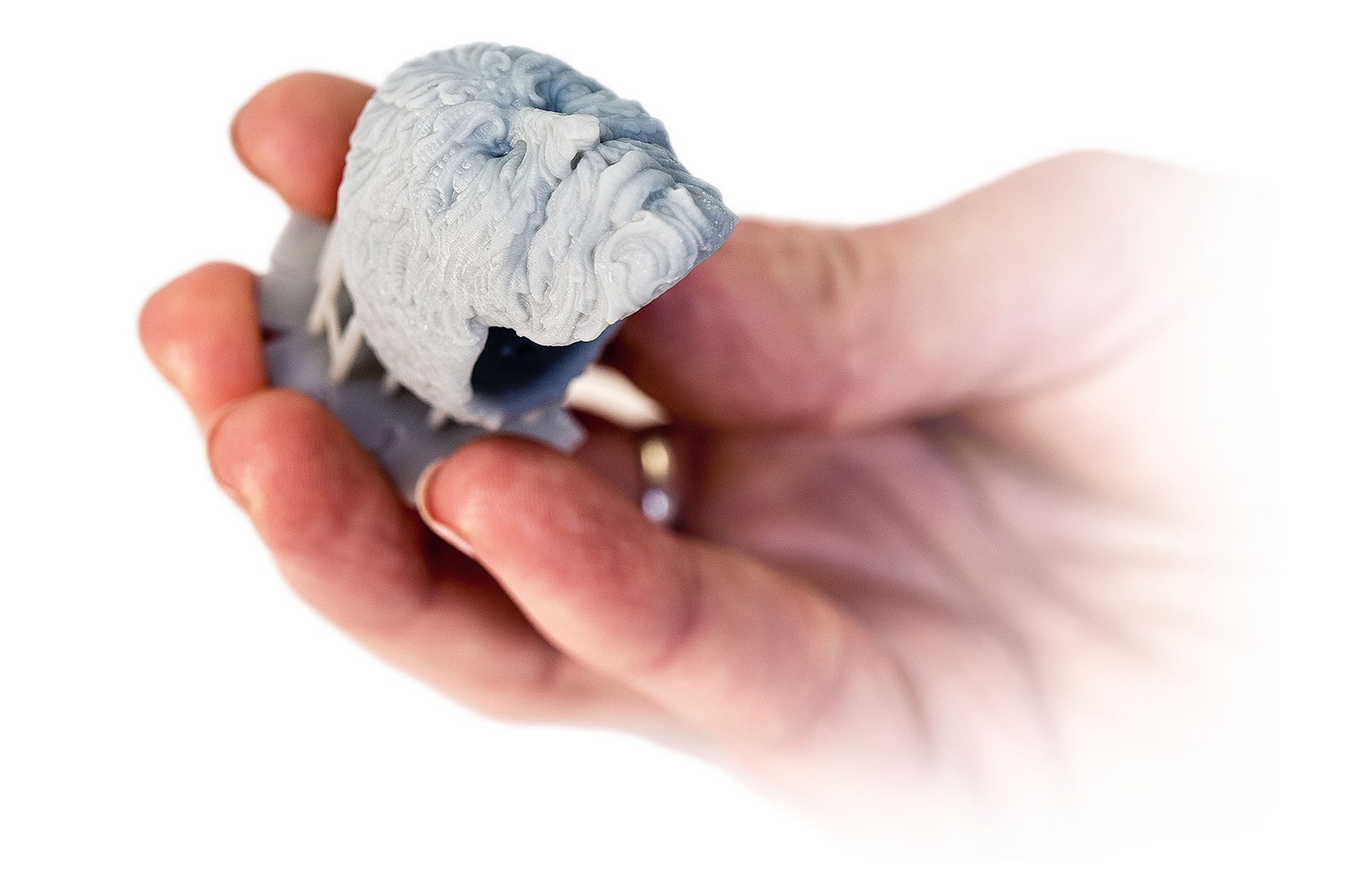 MoonRay 3D Printer – EduKits